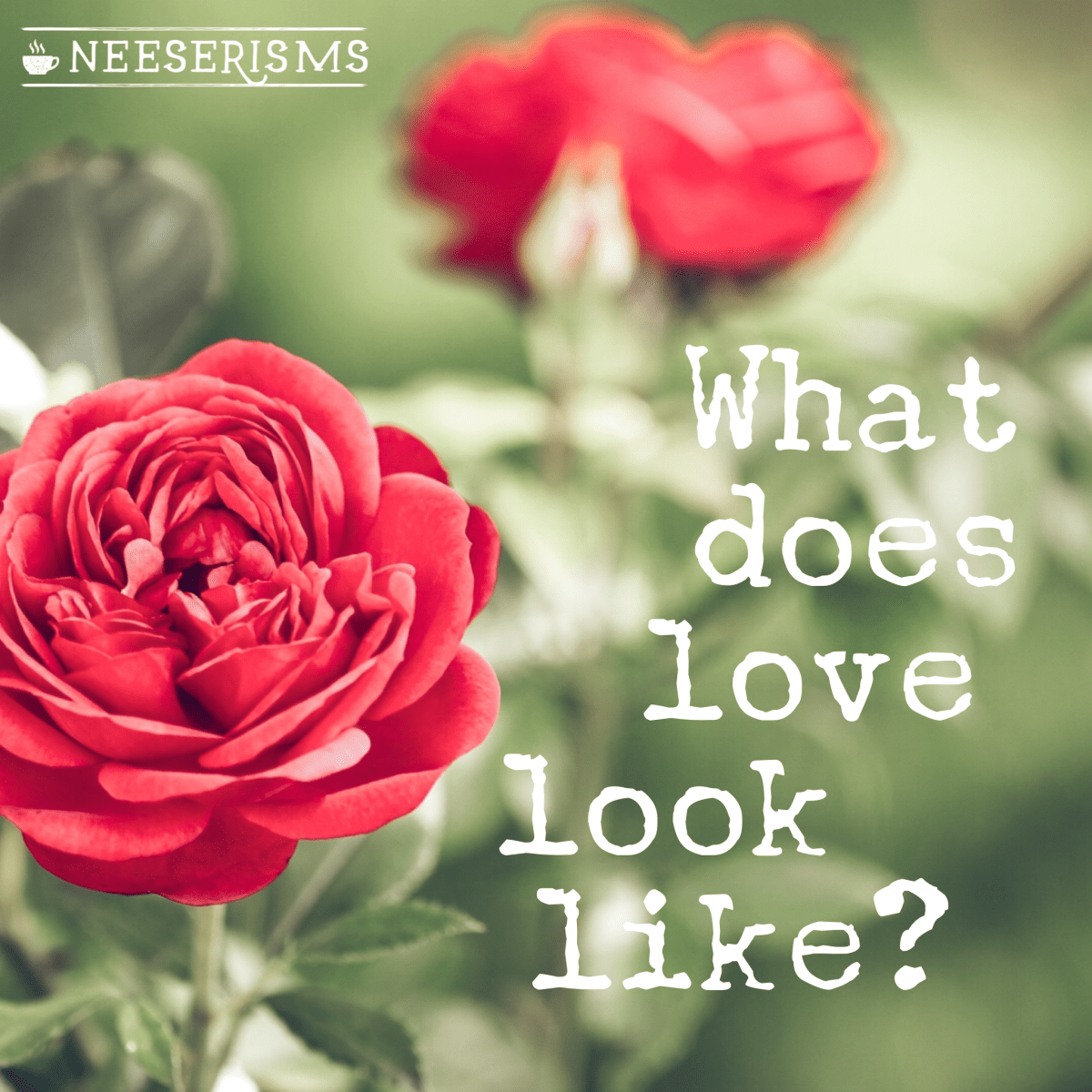 What Does Love Look Like? – Neeserisms