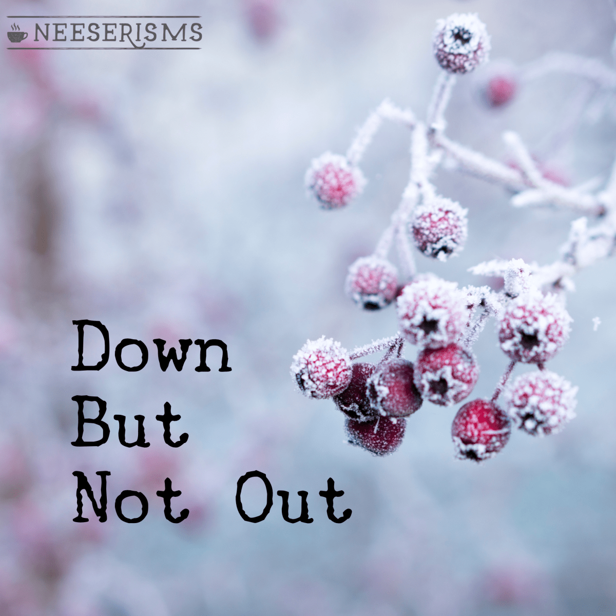 Down But Not Out – Neeserisms